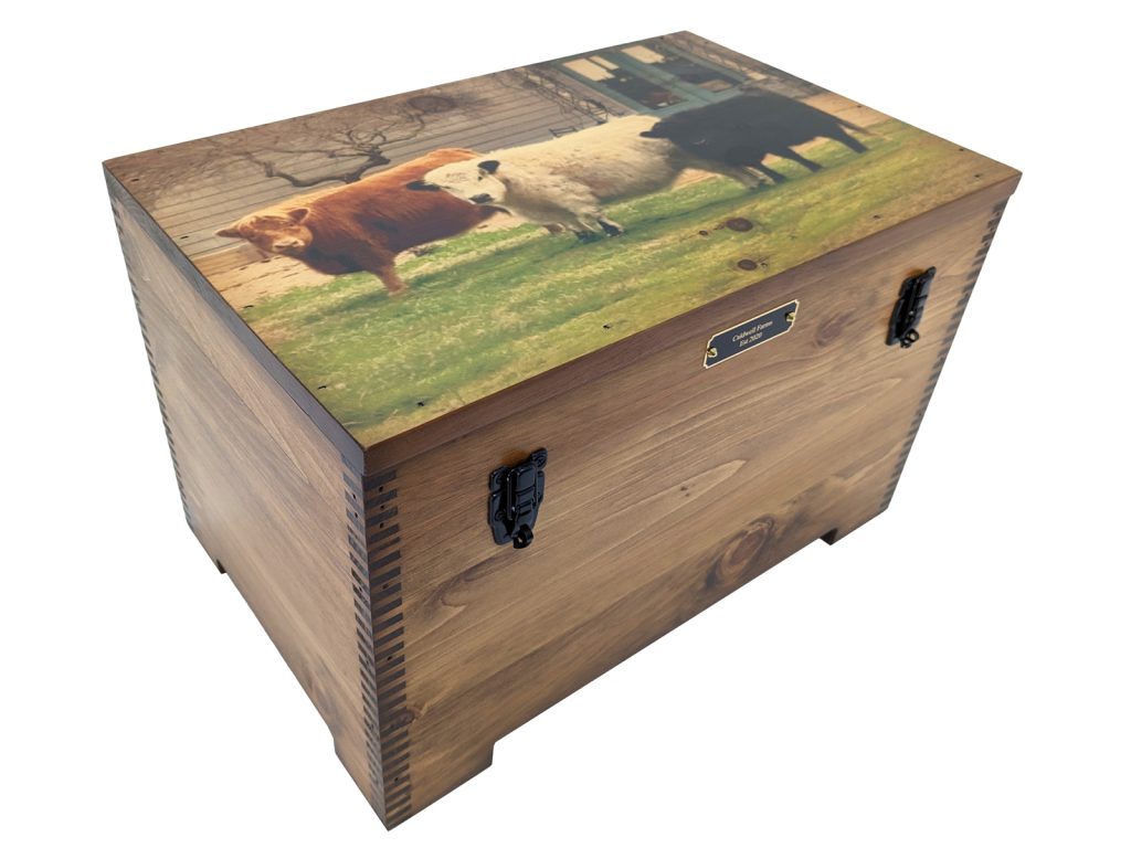 Custom Mini Trunk - Relic Wood